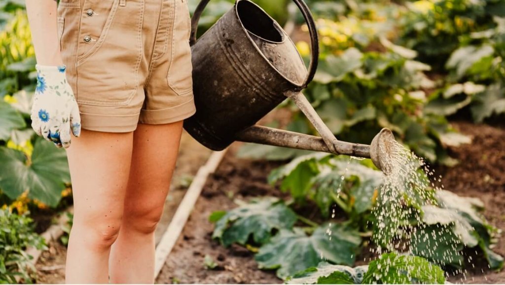 King Jesus Church Lakeland - AmpleHarvest.org